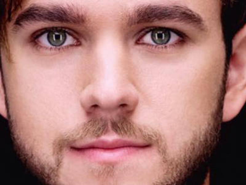 Zedd lanza "The middle"