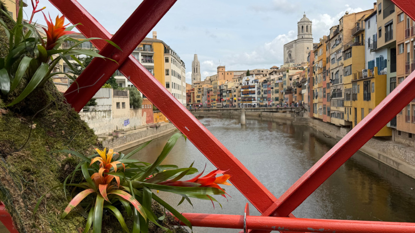 Girona es transforma en un gran jardí floral amb un homenatge a Gaudí a ...