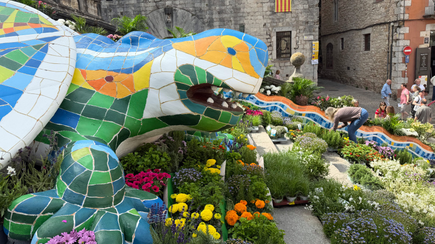 Girona es transforma en un gran jardí floral amb un homenatge a Gaudí a ...