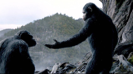 Una pelea de monos deja sin luz a millones de personas: la historia real que se ha hecho viral