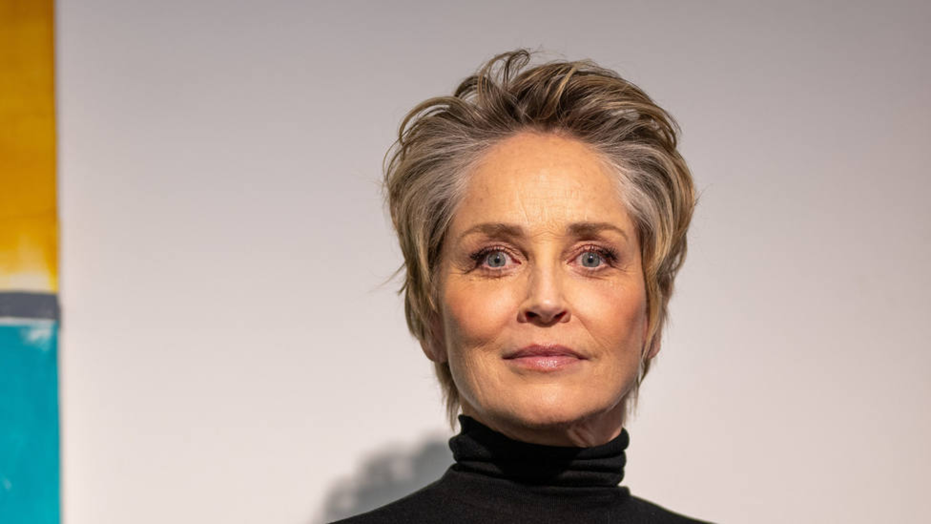 Sharon Stone sobre los problemas de salud mental a los que se ha ...