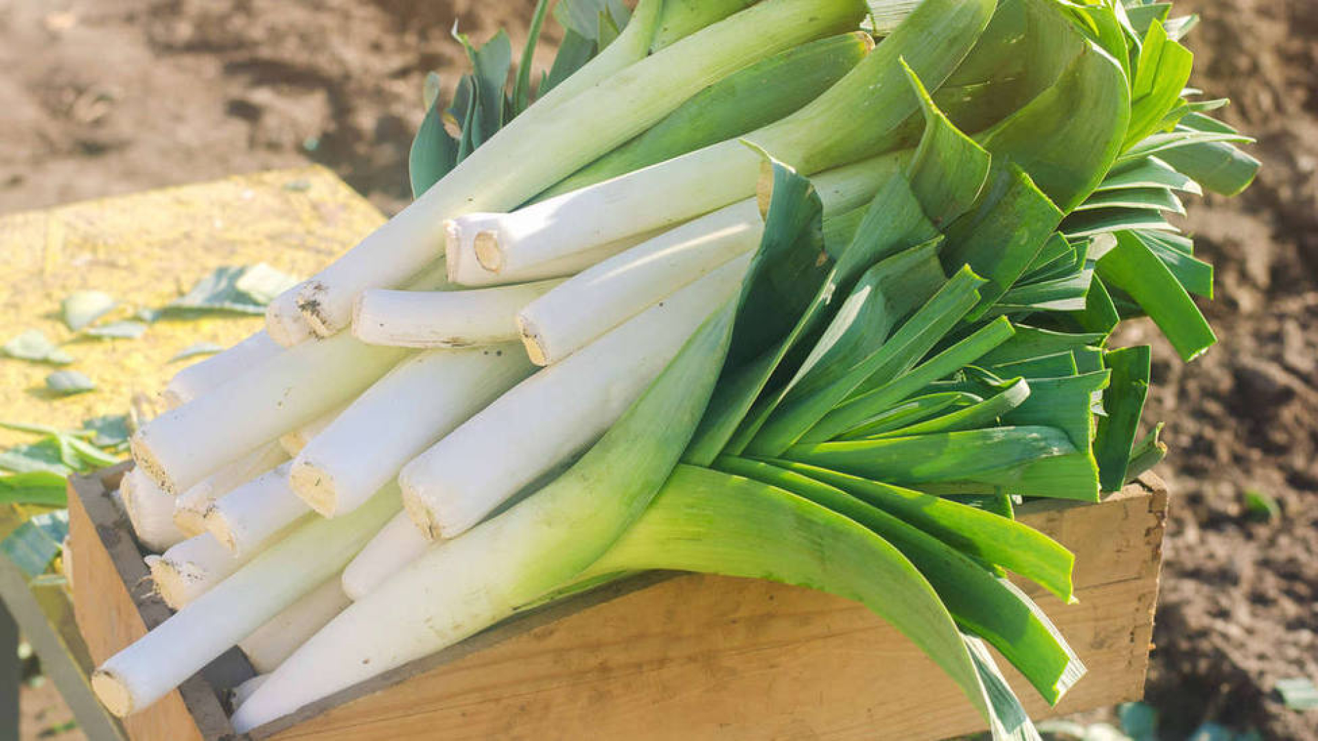 Beneficios del puerro: la hortaliza más triste pero la más rica en ...