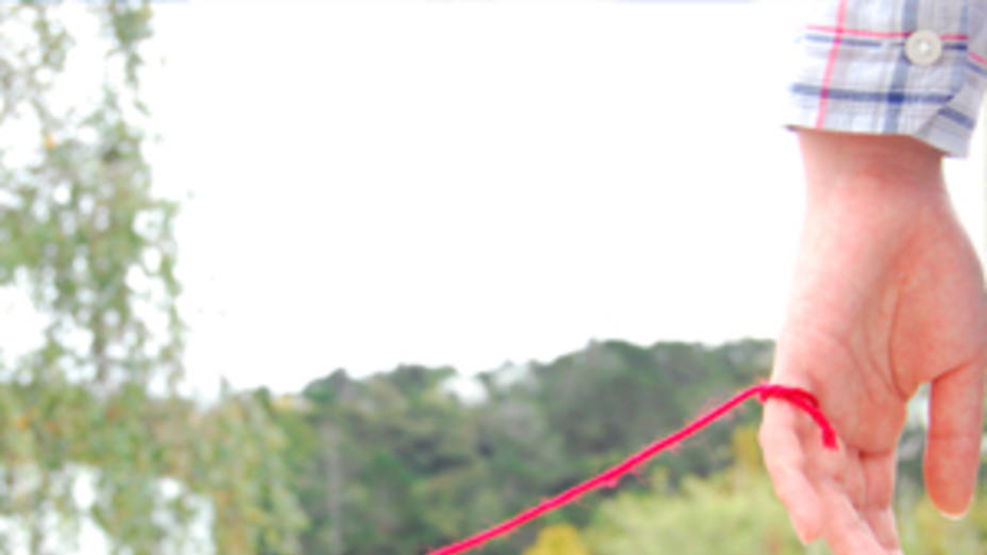 La teoría del hilo rojo