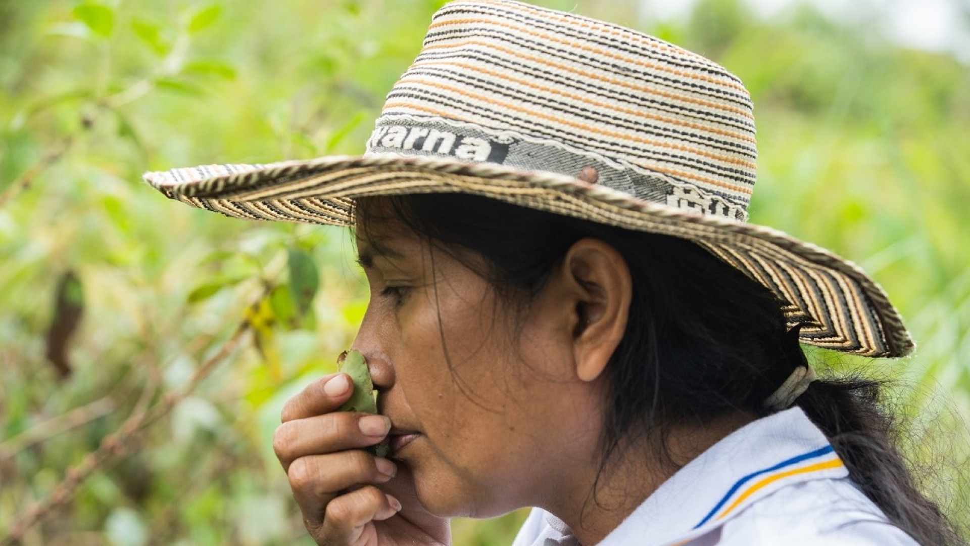 La emprendedora colombiana que mostró al mundo la gastronomía de la ...