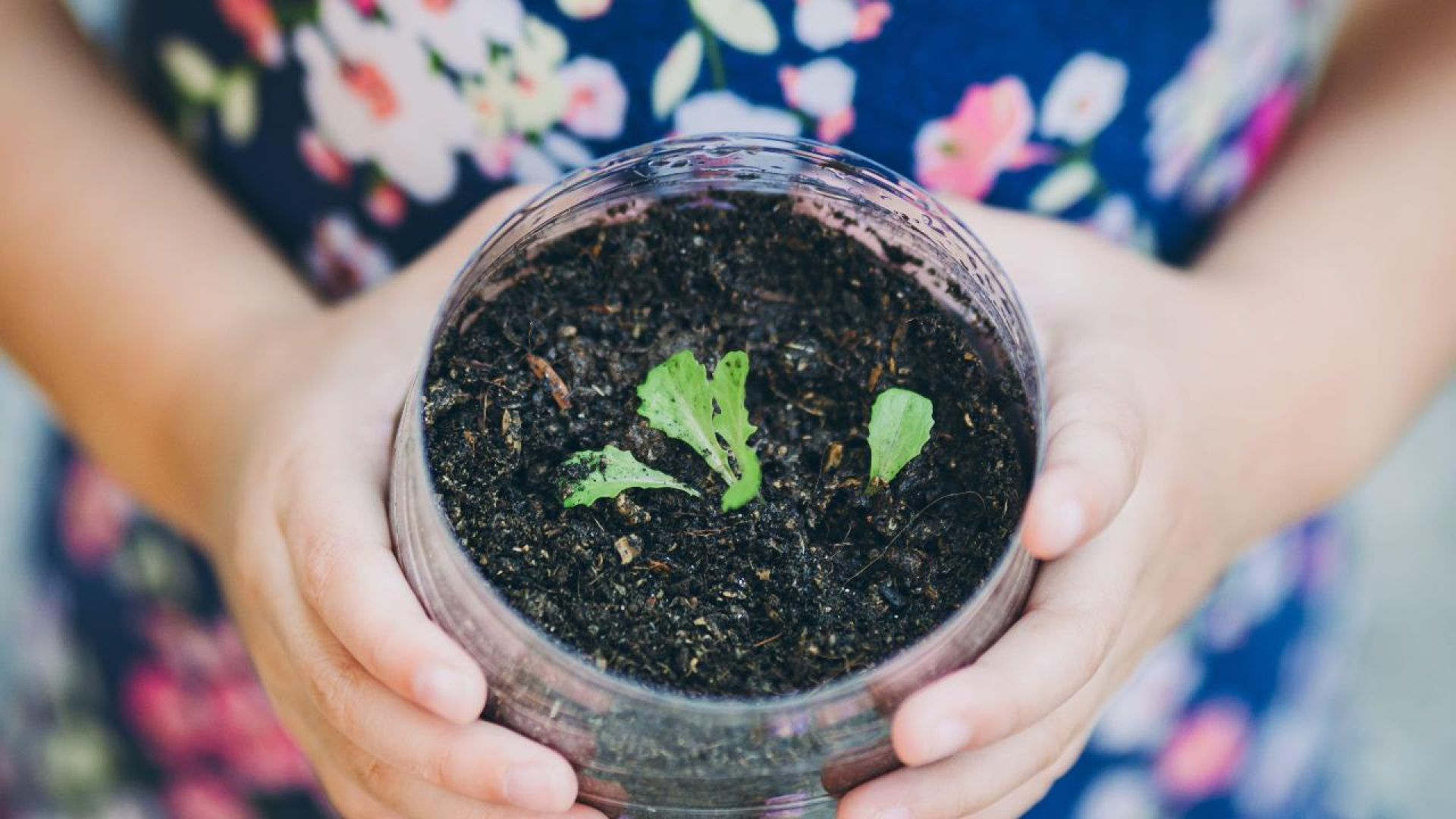 Los niños y Jimeno sobre el medio ambiente: "Prefiero cuidarlo entero ...